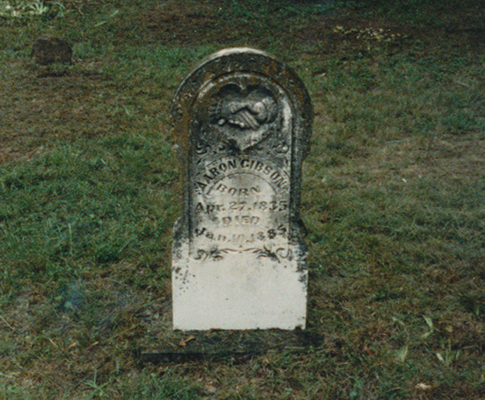 m_marcotte 's genealogy