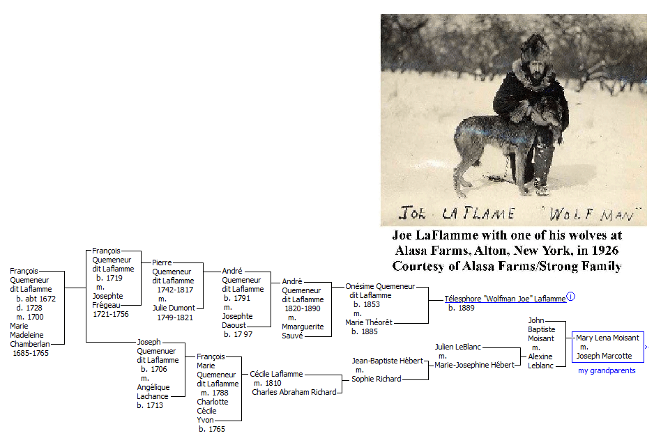 Famous cousins in the Marcotte Genealogy