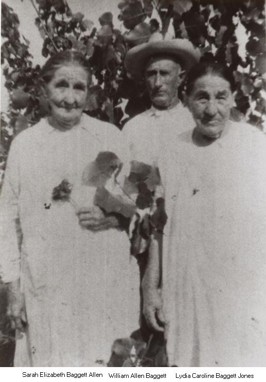 m_marcotte 's baggett genealogy